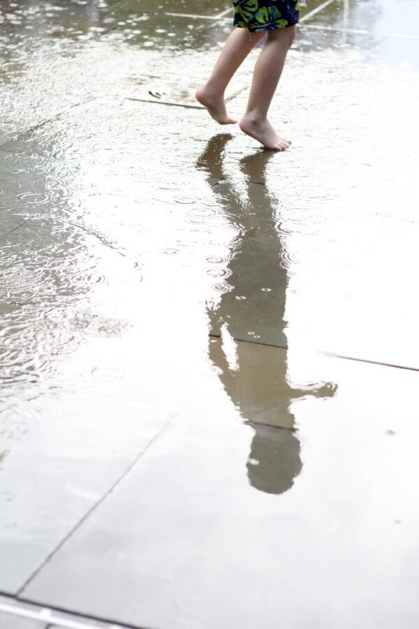 reflection in the water - Raising Roberts